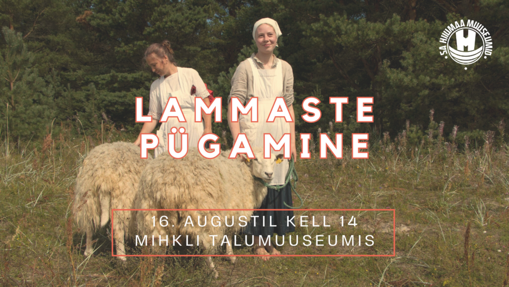 Lammaste pügamine Mihkli talumuuseumis - SA Hiiumaa Muuseumid